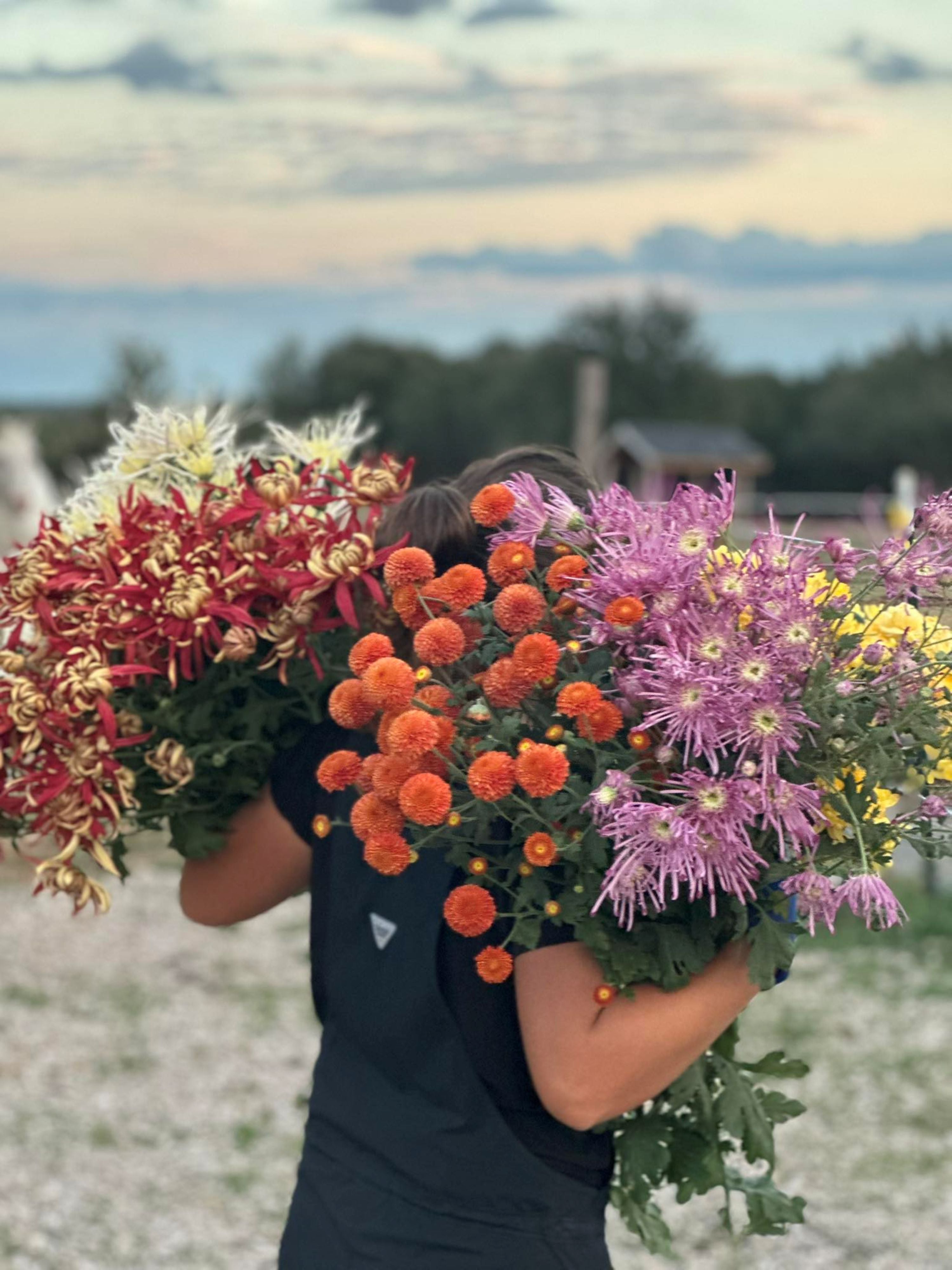 Bella Vista Flower Farm | Farm-Grown Flowers & Experiences in Brenham ...